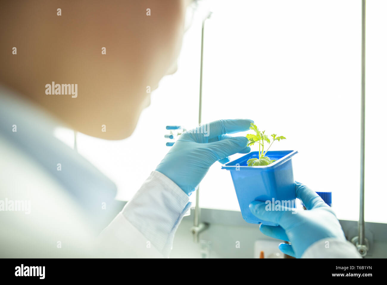 Experimenting experiment hi-res stock photography and images - Alamy
