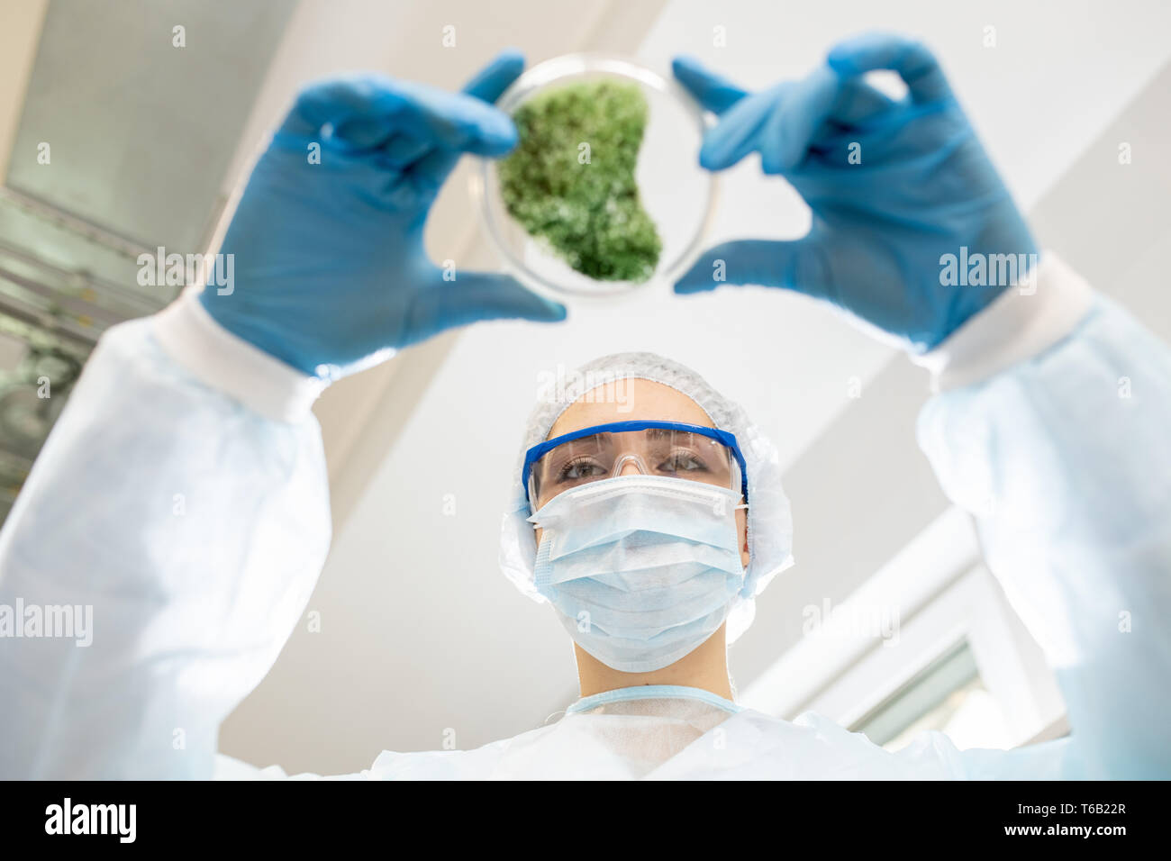 Environmental microbiology hi-res stock photography and images - Alamy