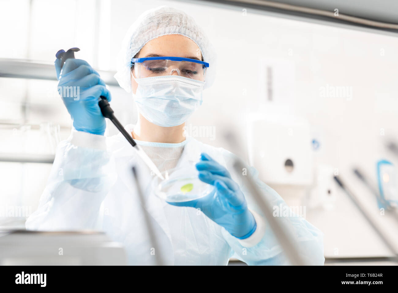 Microbiological experiment hi-res stock photography and images - Alamy
