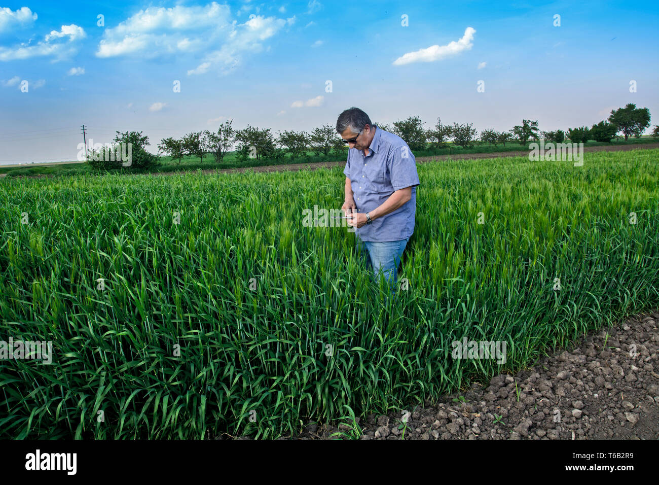 Farmer organic food hi-res stock photography and images - Alamy