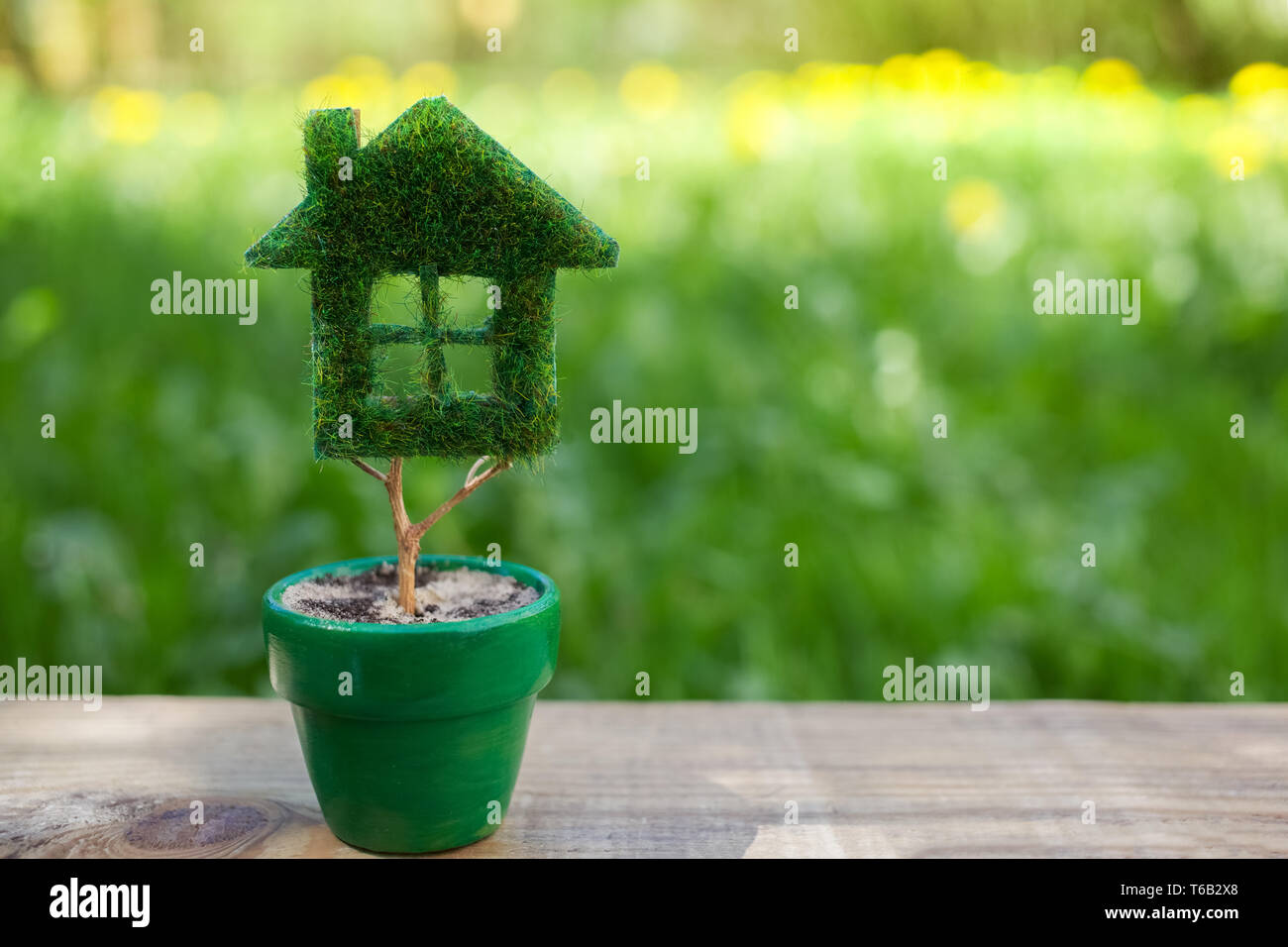 Green plant in pot shaped like house on green grass background Stock ...