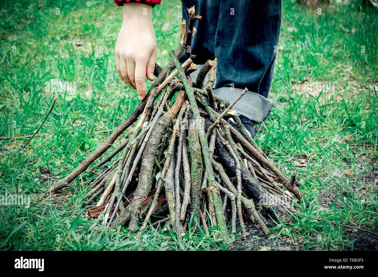 Dry Twigs High Resolution Stock Photography and Images - Alamy