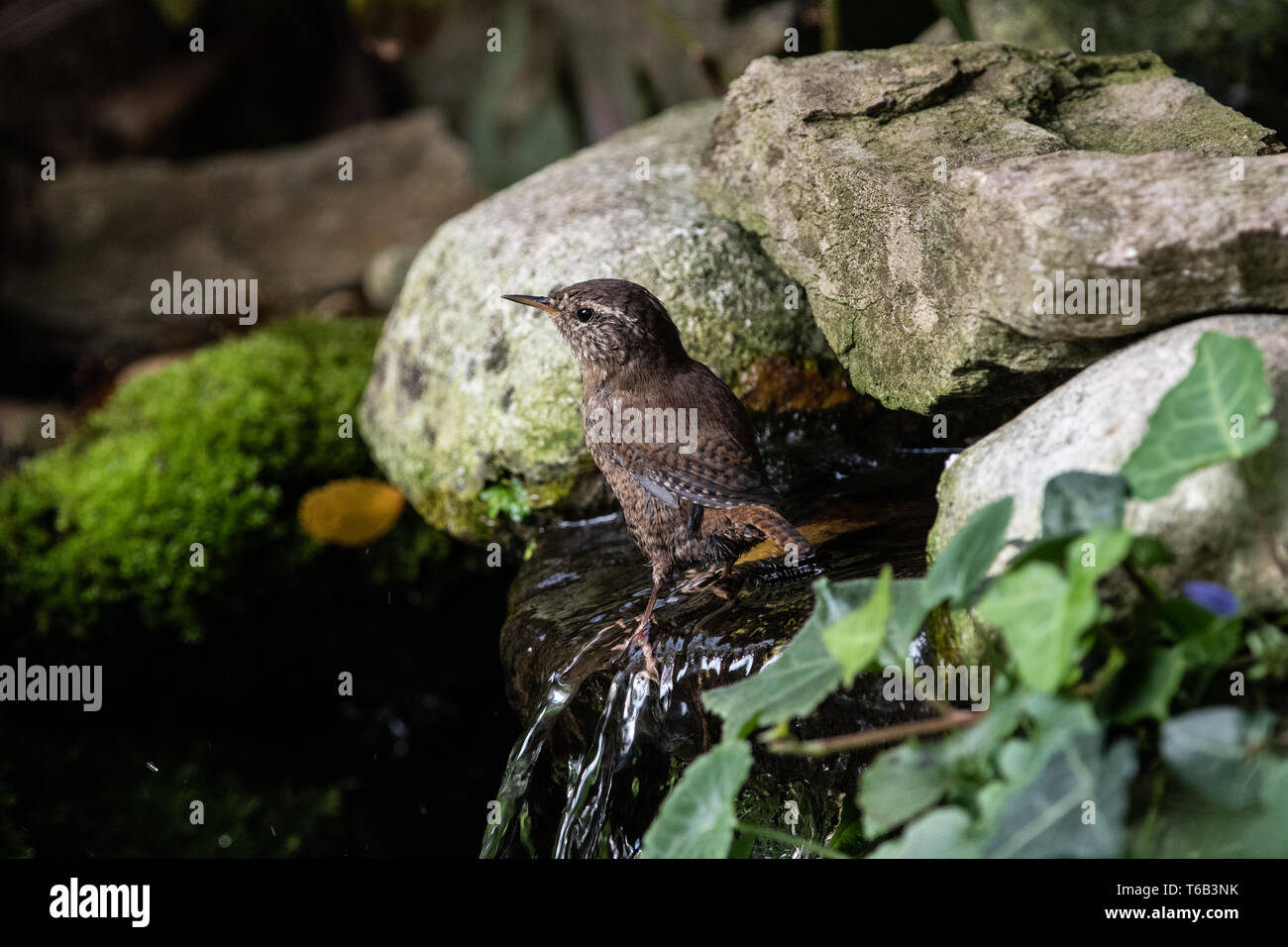 Washing on waterfall hi-res stock photography and images - Alamy