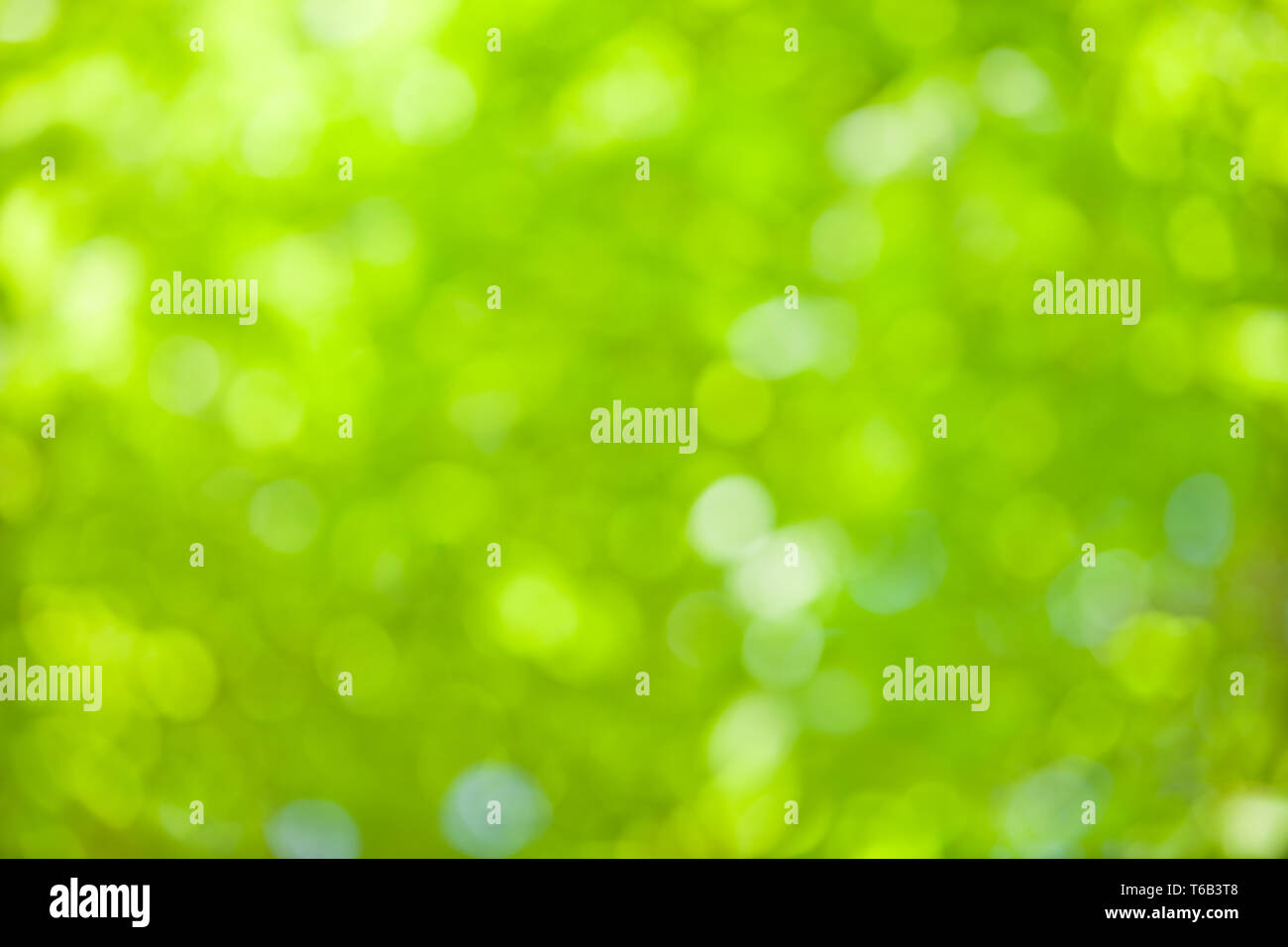 Bokeh background leaf hi-res stock photography and images - Alamy