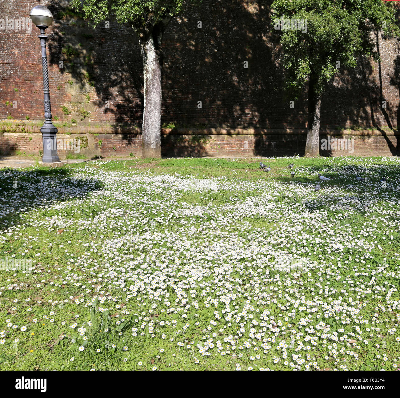 Green lawn near the ramparts Stock Photo - Alamy