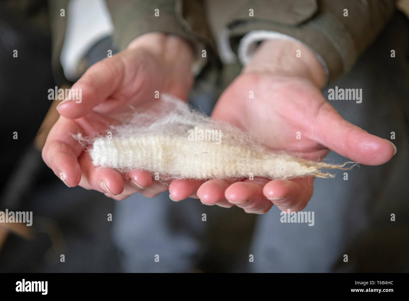 Sheeps fleece hi-res stock photography and images - Alamy