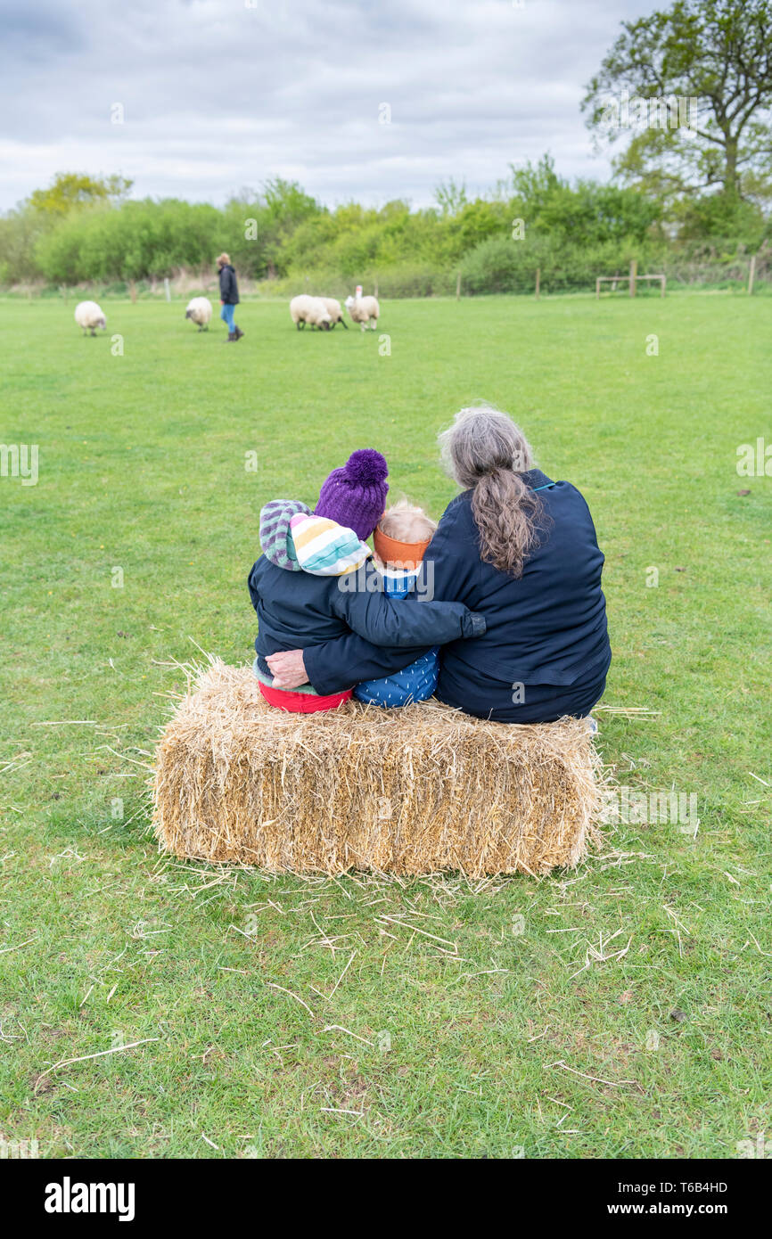 Mayfields Farm Open Day Foulsham Norfolk UK Stock Photo - Alamy