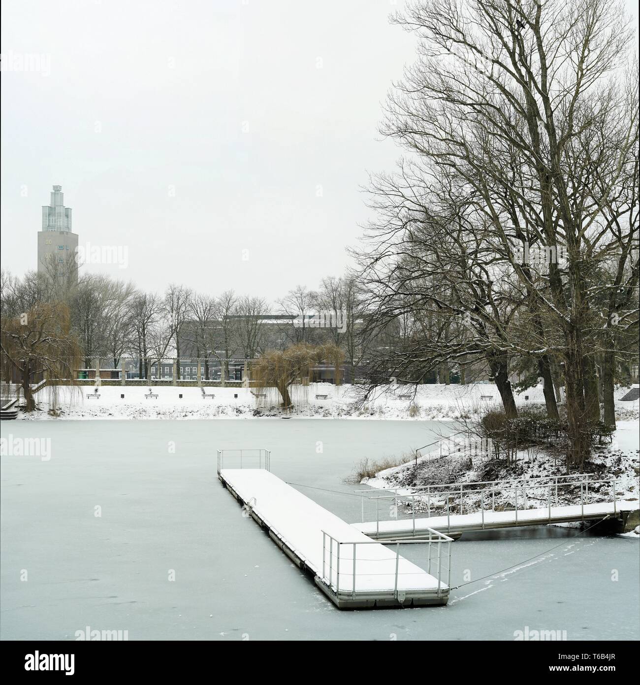 Lake in the city park of Magdeburg in winter Stock Photo - Alamy