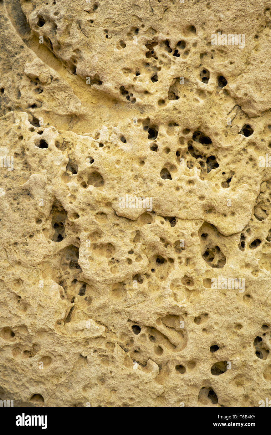 The cavernous globigerina limestone injured by the severe weathering ...