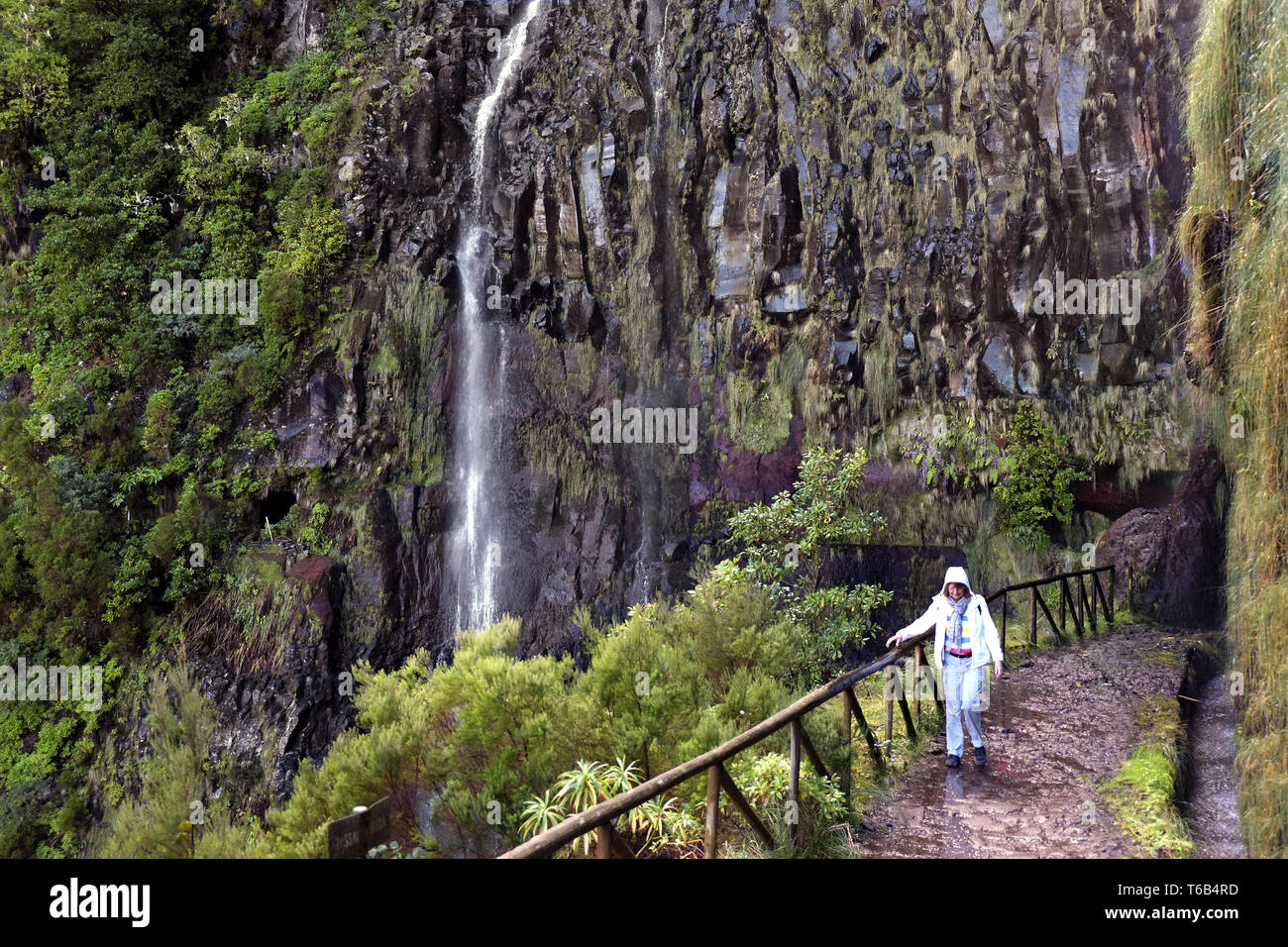 Levada hike, Madeira Stock Photo - Alamy