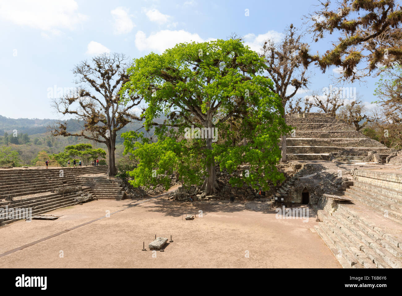 Copan Honduras - Mayan ruins, the East Court of the Copan ...