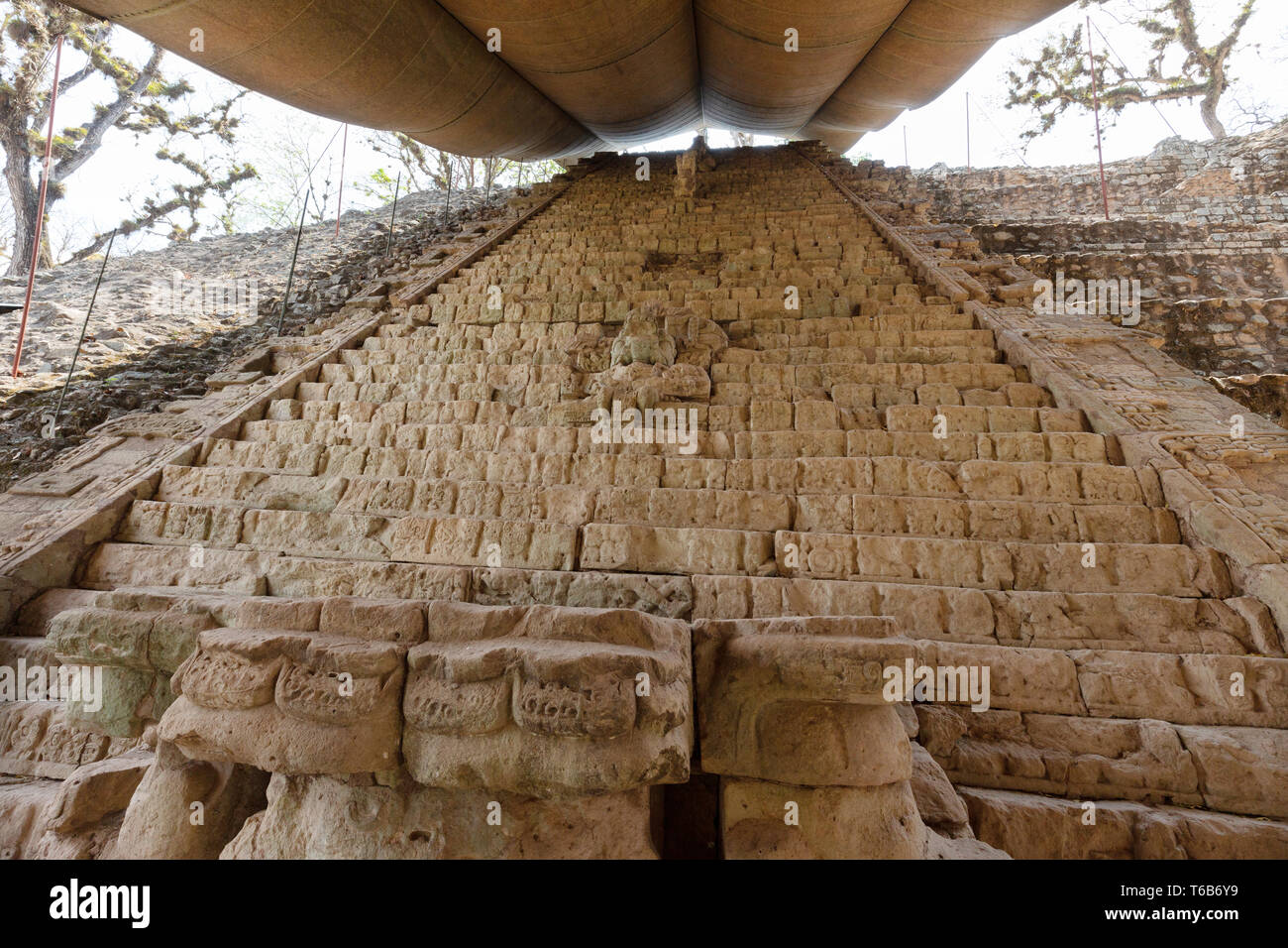 Maya ruins - the mayan Hieroglyphic Stairway at the UNESCO World ...
