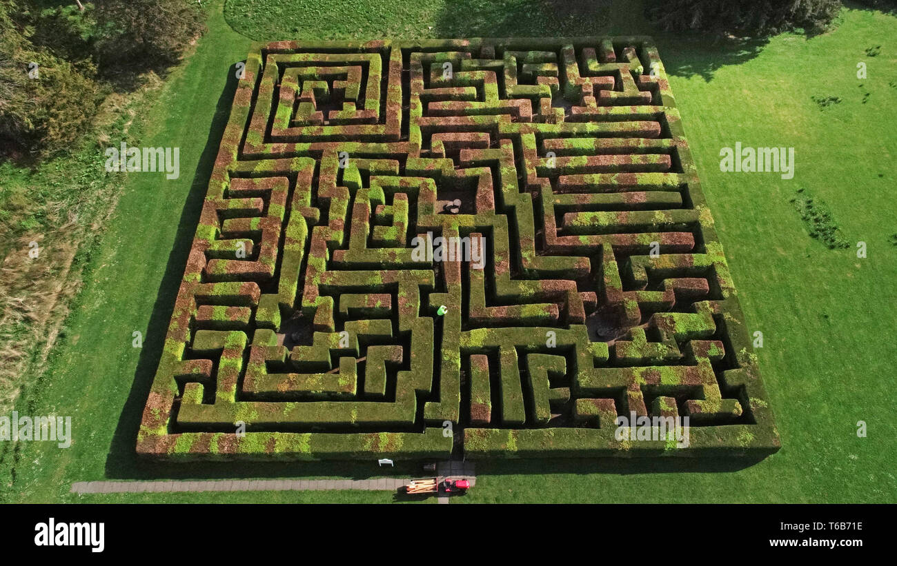 Gardner Eric Drennon give the maze at Tranquair House in Peeblessshire ...