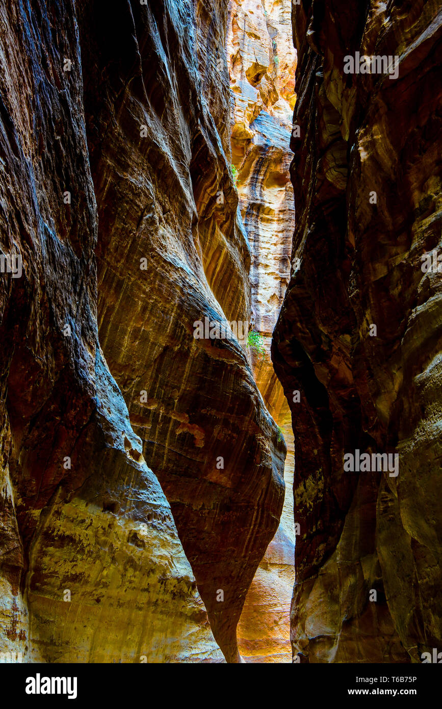 Al-Siq is the Main Entrance Canyon to Petra, Jordan Stock Photo - Alamy
