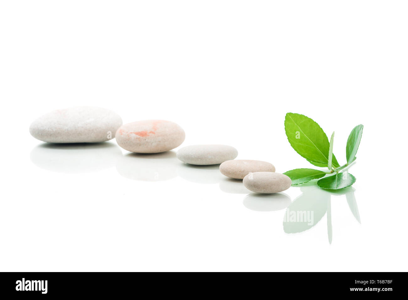 Pile zen green leaf hi-res stock photography and images - Alamy