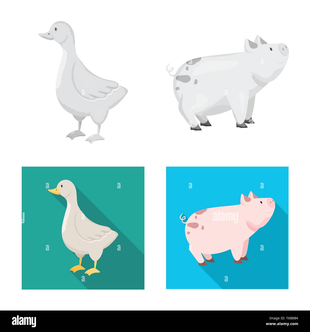 goose,pig,pet,animal,bird,pork,Canada,meat,flying,piglet,duck,cute ...