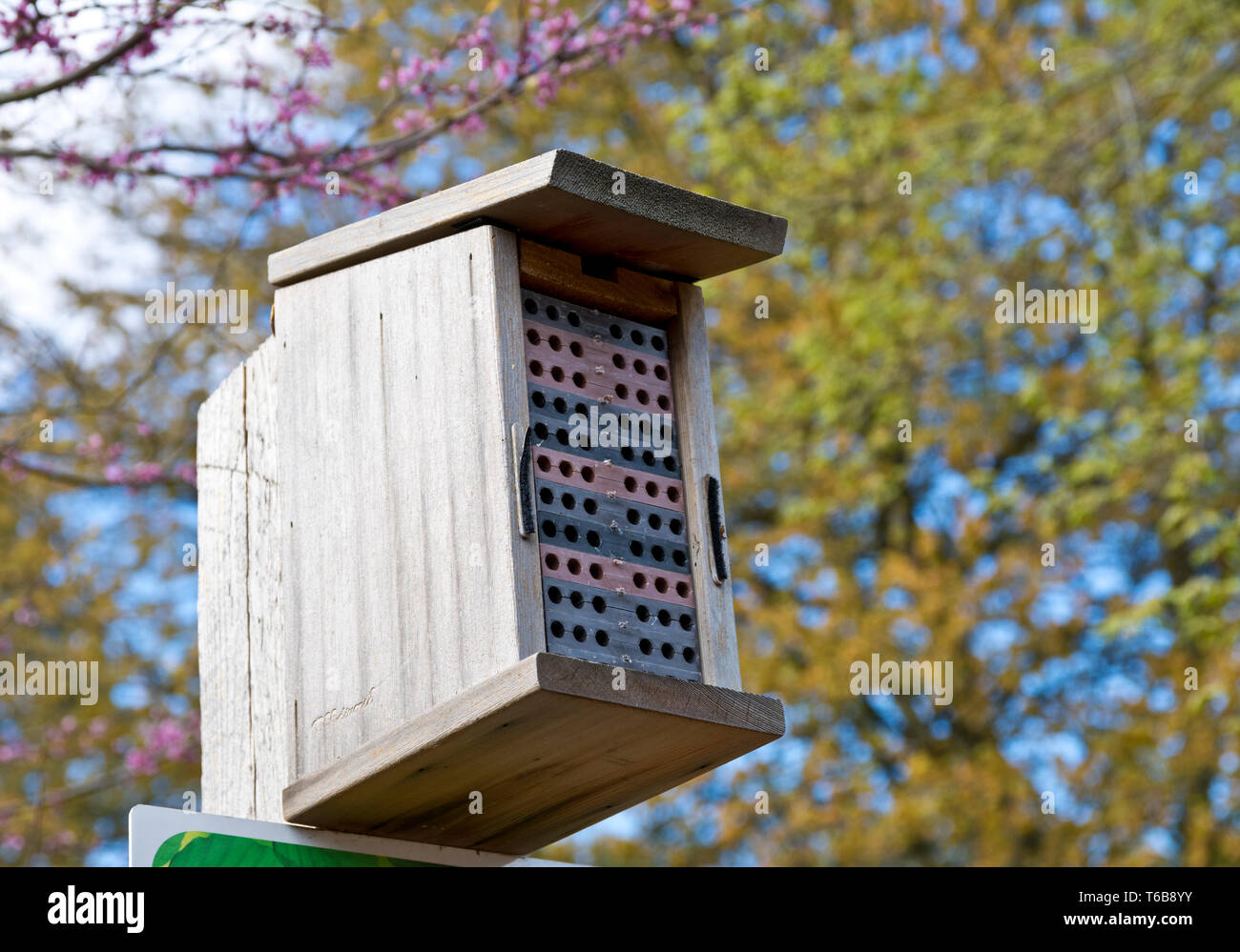 "Bee condo" erected in a park for Blue Orchard Mason bee. Man made ...