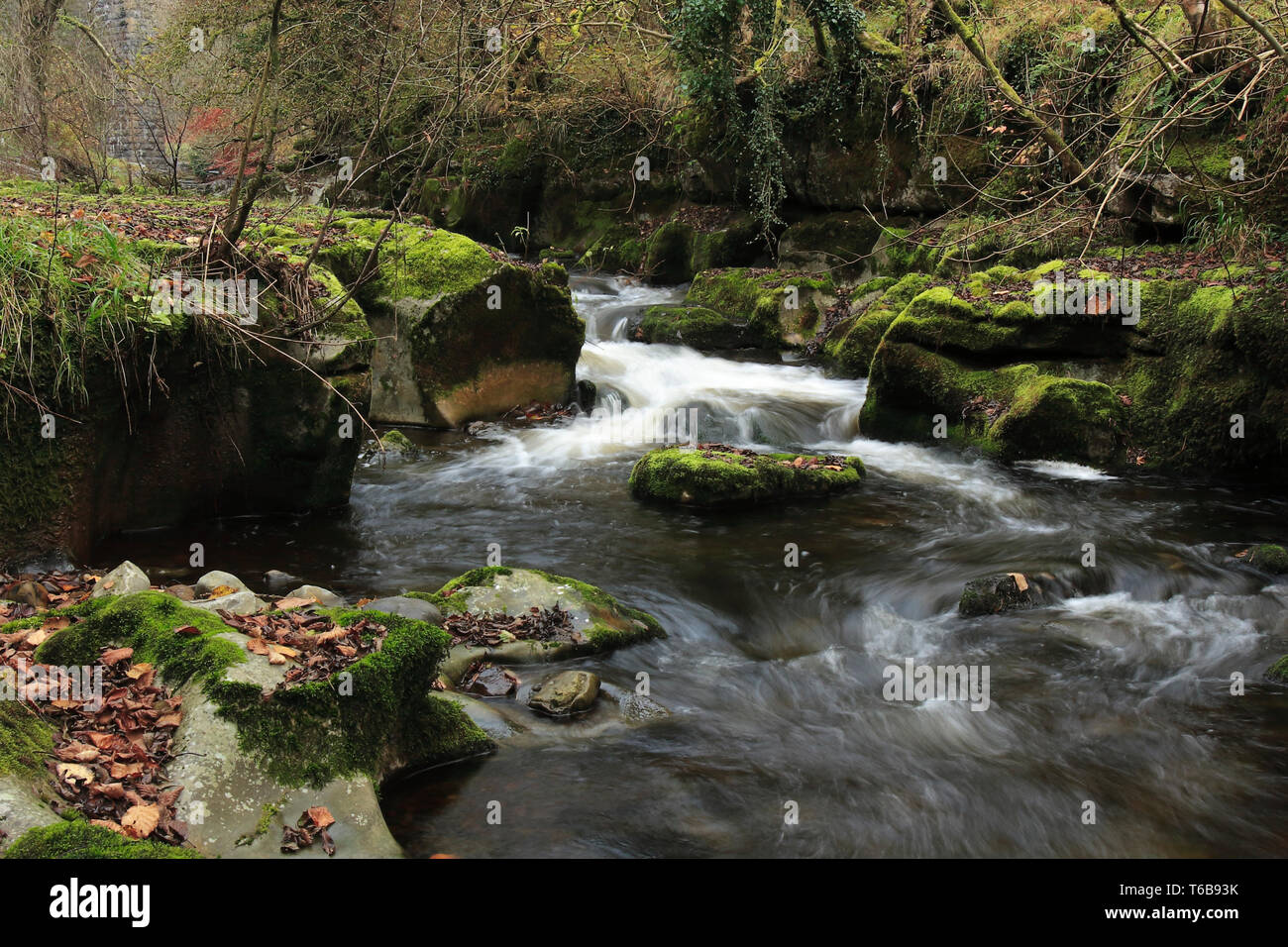 Fast Flowing Stream/River Stock Photo - Alamy