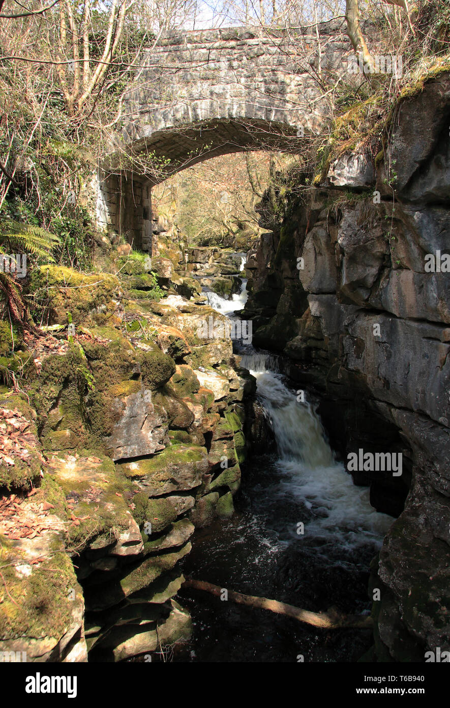 Old Limestone bridge over river Taff Fechan Stock Photo - Alamy
