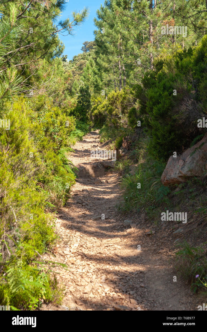 Hiking trail to the Pic du Cap Roux in the Massif de l'Esterel, Antheor ...