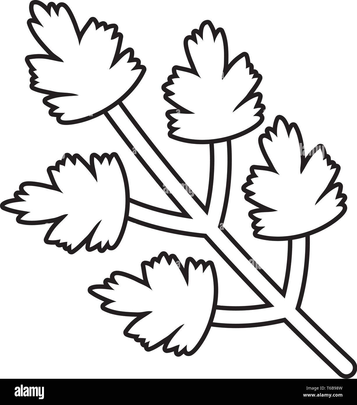 delicious healthy meal vegetable coriander cartoon vector illustration ...