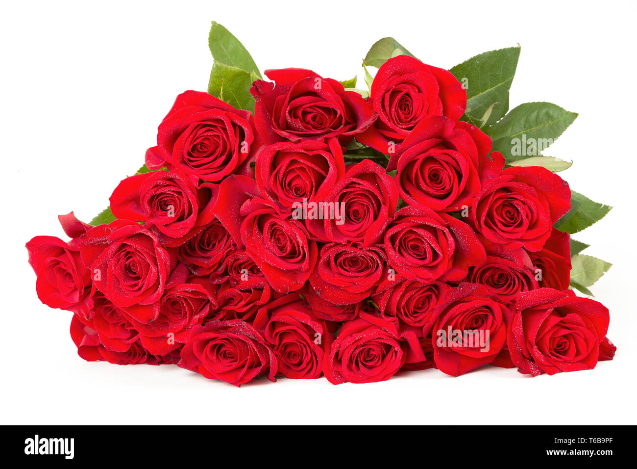 Bouquet of fresh red roses isolated Stock Photo - Alamy