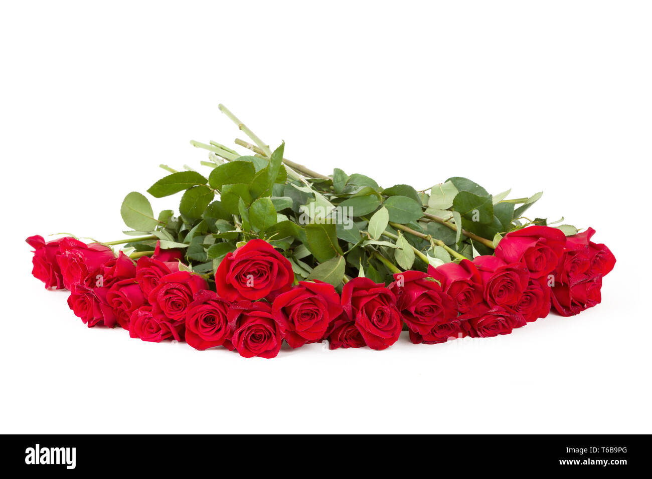 Bouquet of fresh red roses isolated Stock Photo - Alamy