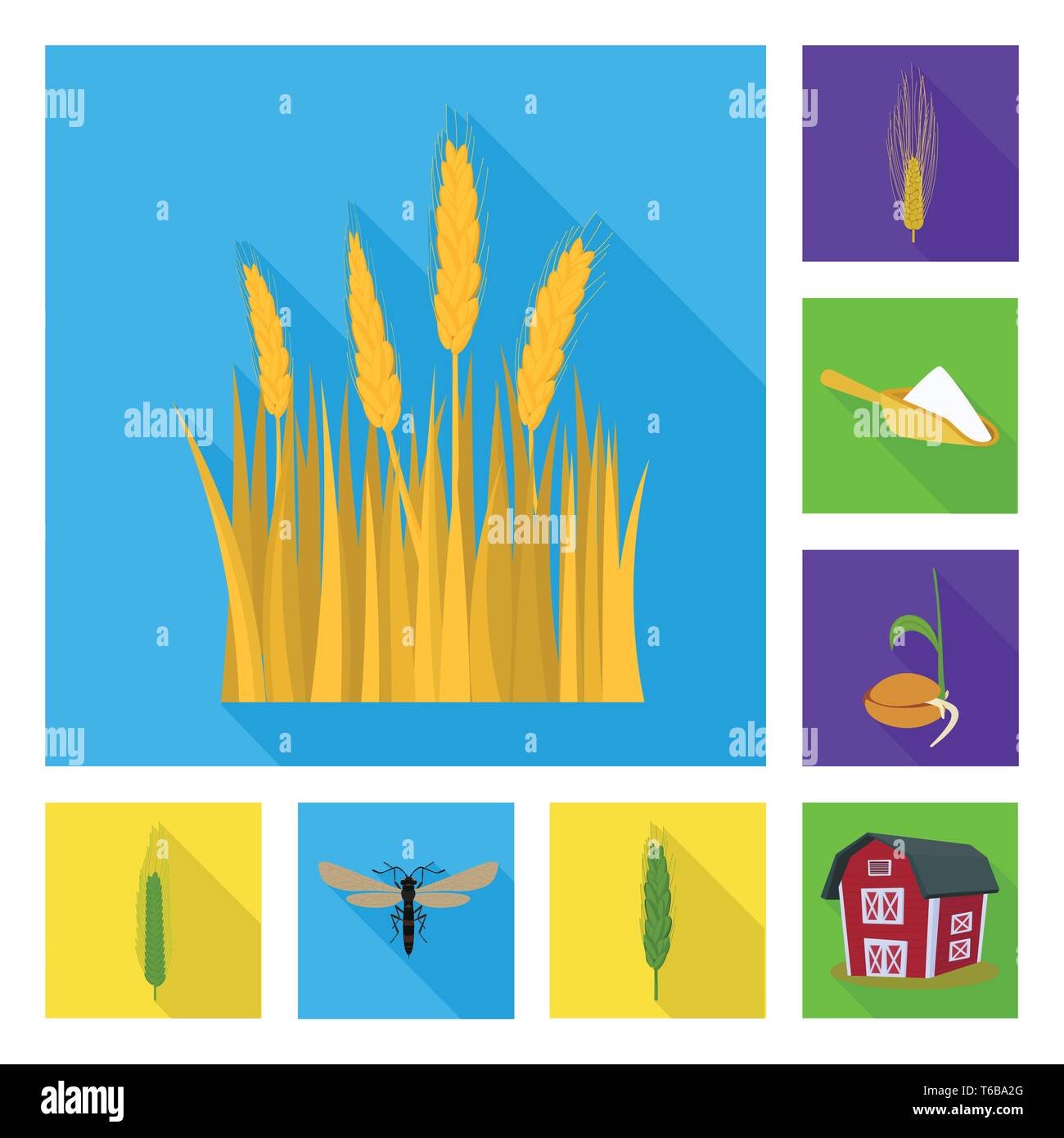 spring,barley,flour,seed,fly,granary,spike,meal,grow,winter,insect ...