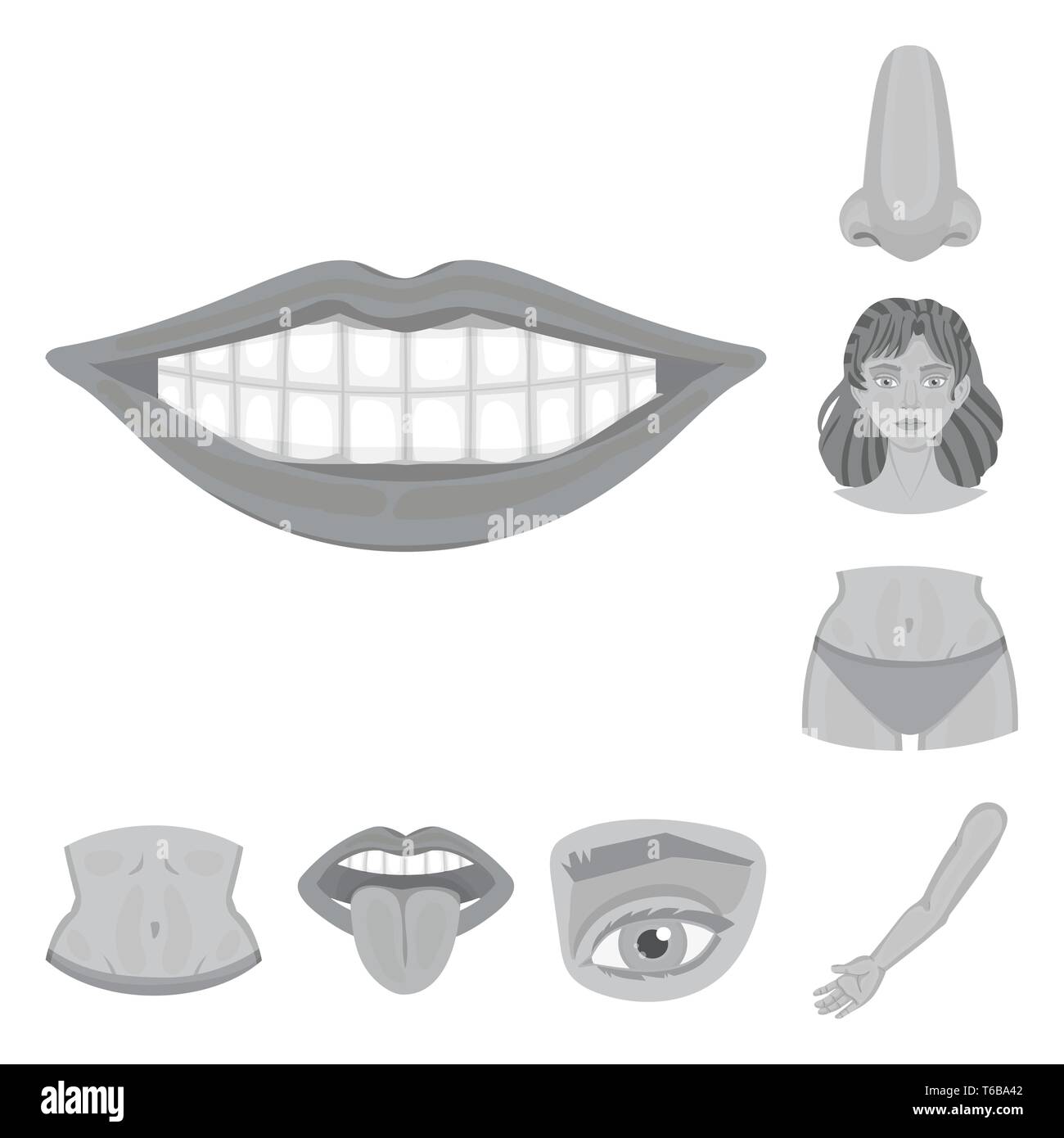 Vector illustration of body and part symbol. Set of body and anatomy ...