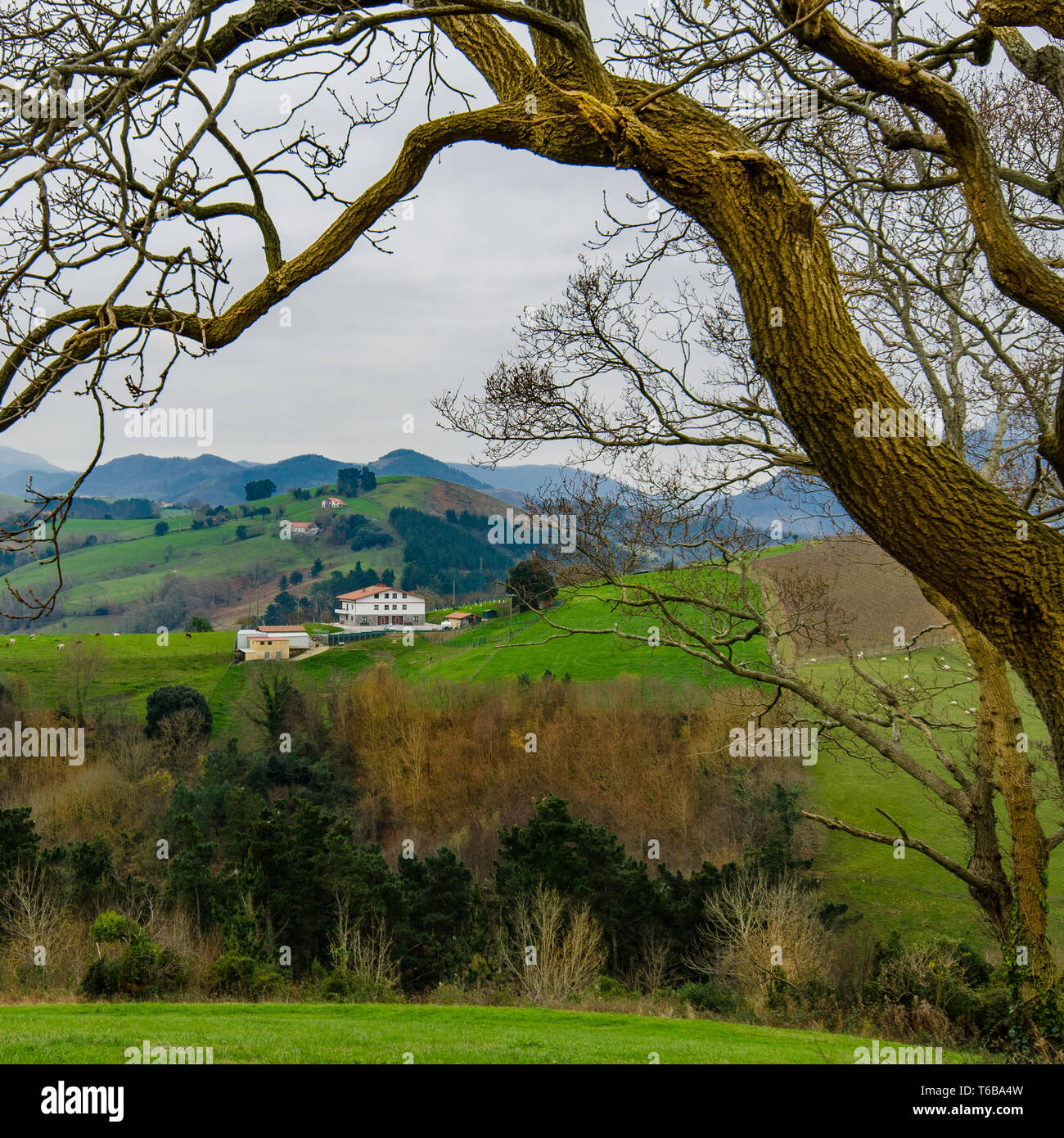 Basque sheep camp hi-res stock photography and images - Alamy