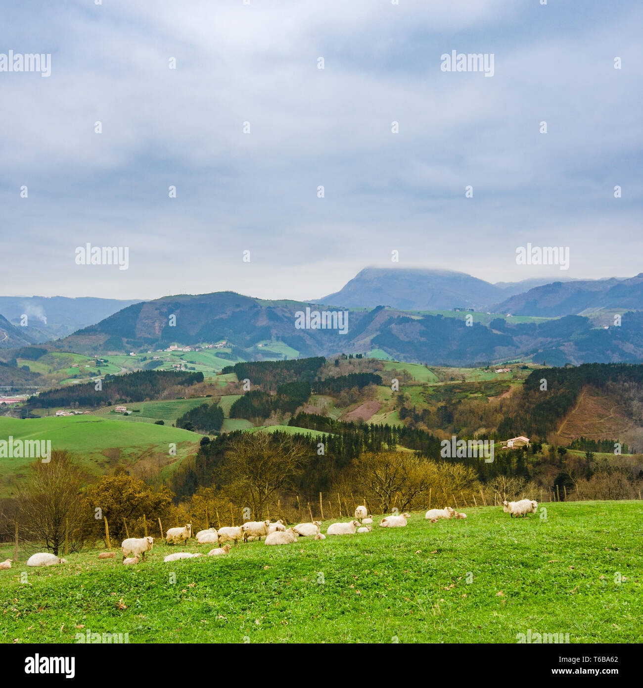 Basque sheep camp hi-res stock photography and images - Alamy