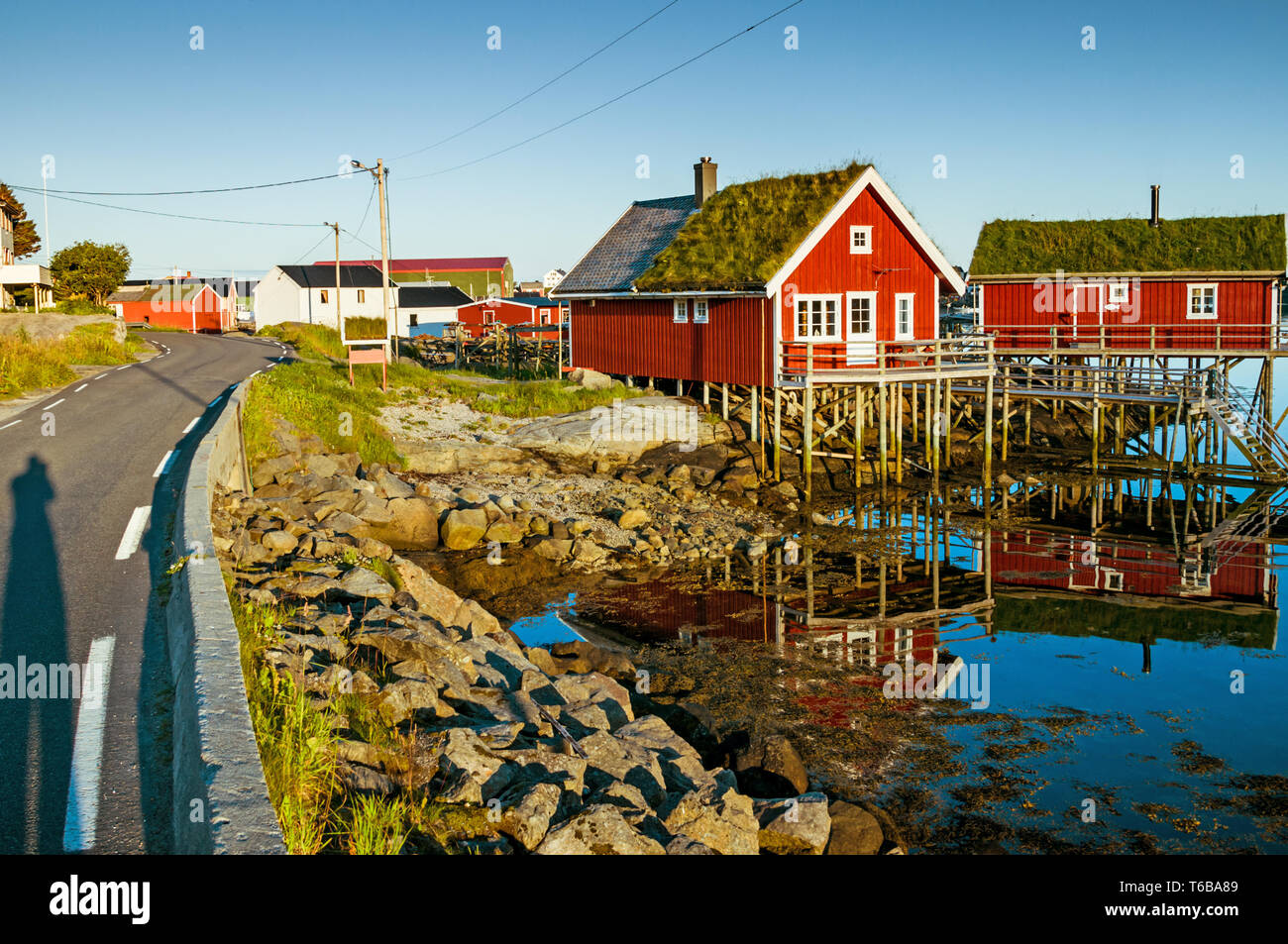 Rorbus High Resolution Stock Photography and Images - Alamy