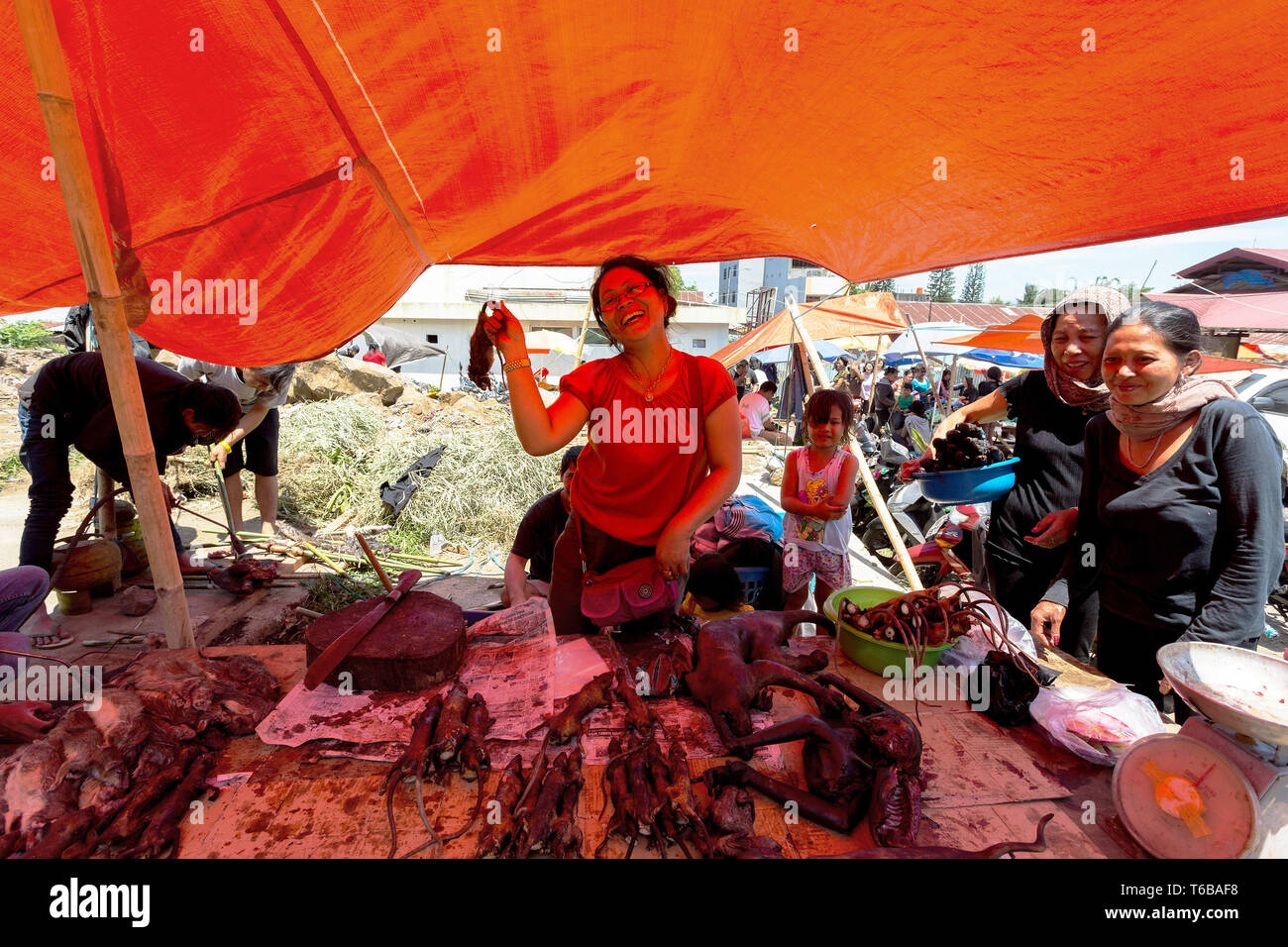 tradition speciality, roasted jungle rat Stock Photo - Alamy