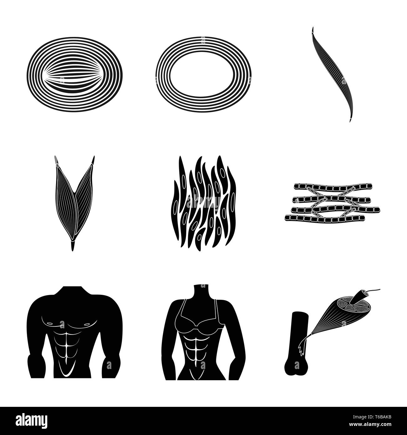 Vector illustration of human and body symbol. Collection of human and ...