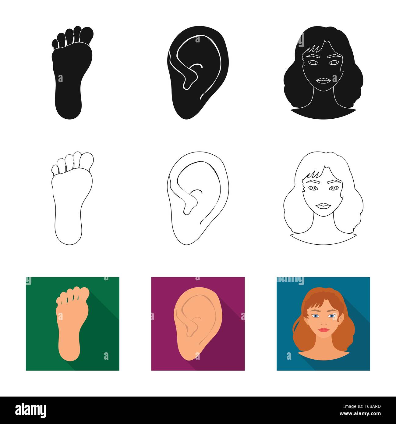 Isolated object of body and part symbol. Set of body and anatomy stock ...