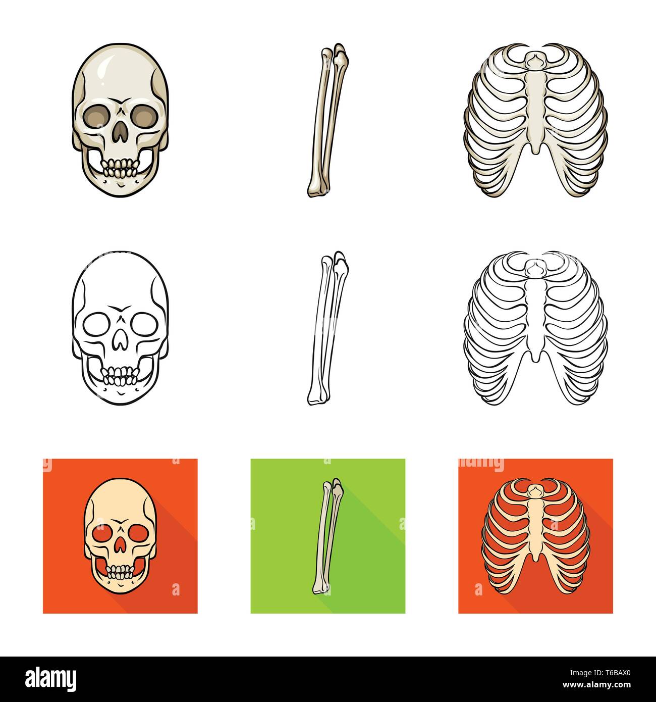skull,femur,rib,death,cage,monster,leg,xray,evil,knee,body,horror,tibia ...