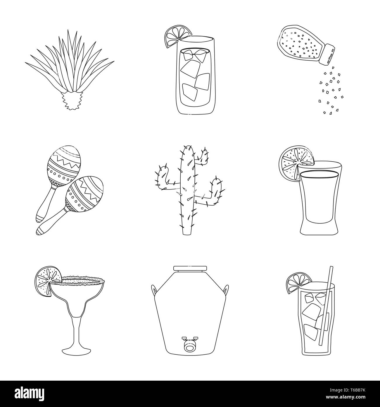 agave,cocktail,bottle,maraca,cactus,distillery,plant,glass,salt ...