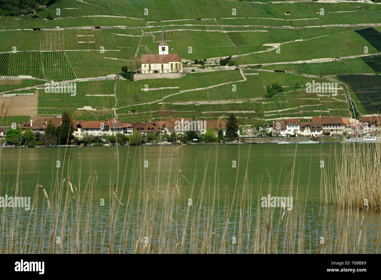 Ligerz hi-res stock photography and images - Alamy