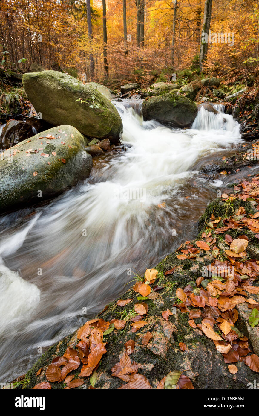 stream in a German wood at fall Stock Photo - Alamy