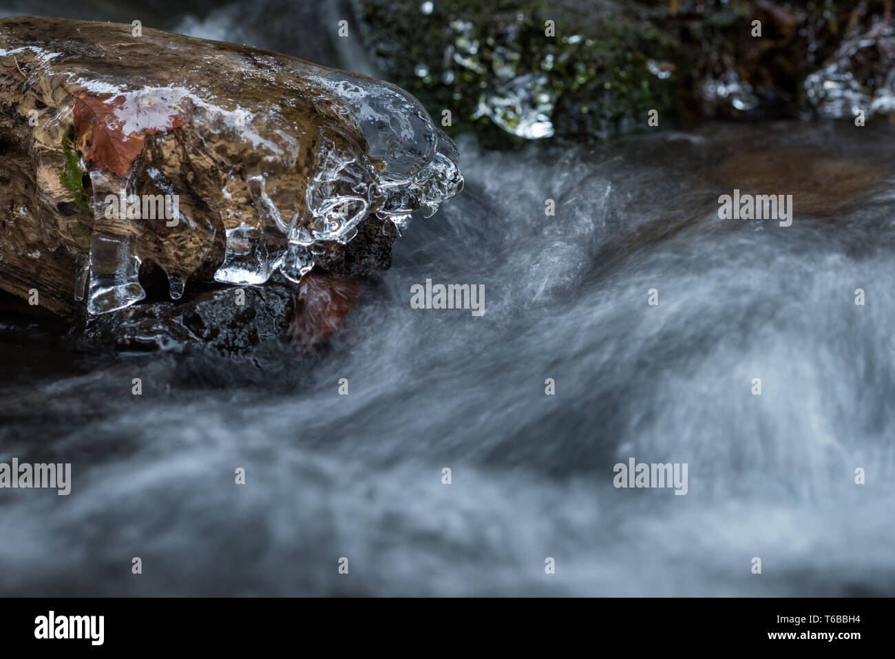 Osm park hi-res stock photography and images - Alamy