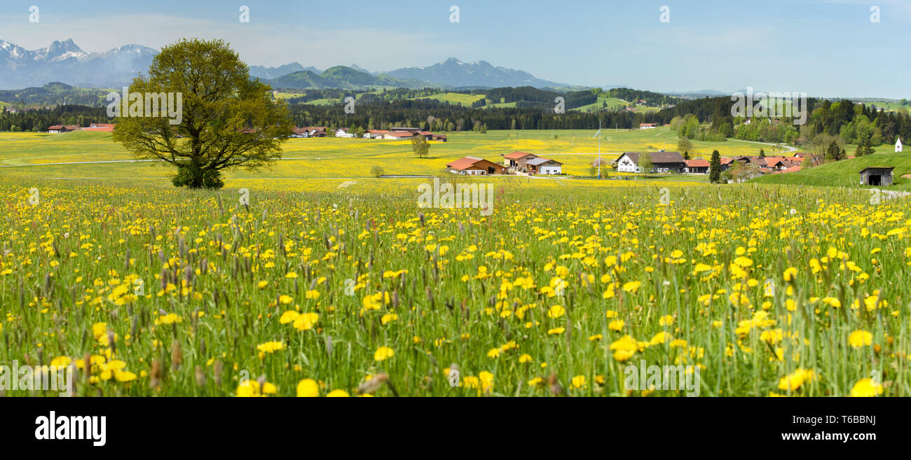panorama landscape in Bavaria with alps mountains at spring Stock Photo ...