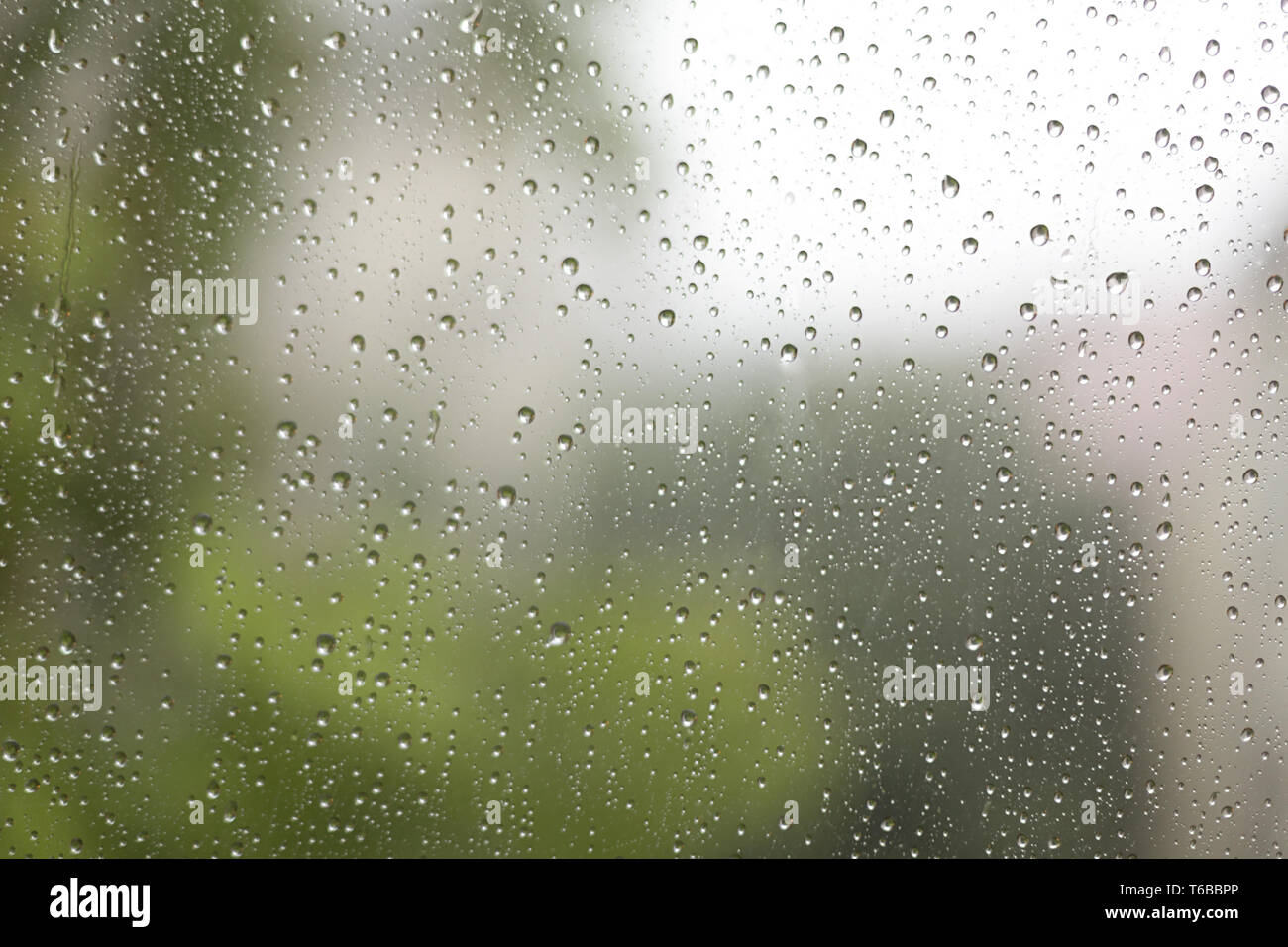 raindrops on a window, for backgrounds Stock Photo - Alamy