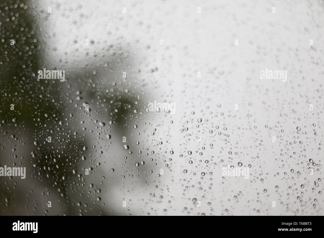 raindrops on a window, for backgrounds Stock Photo - Alamy