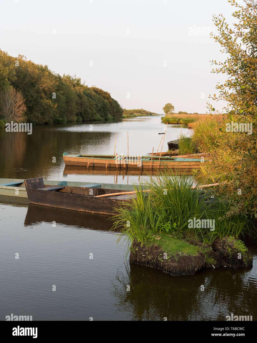French marsh boat hi-res stock photography and images - Alamy