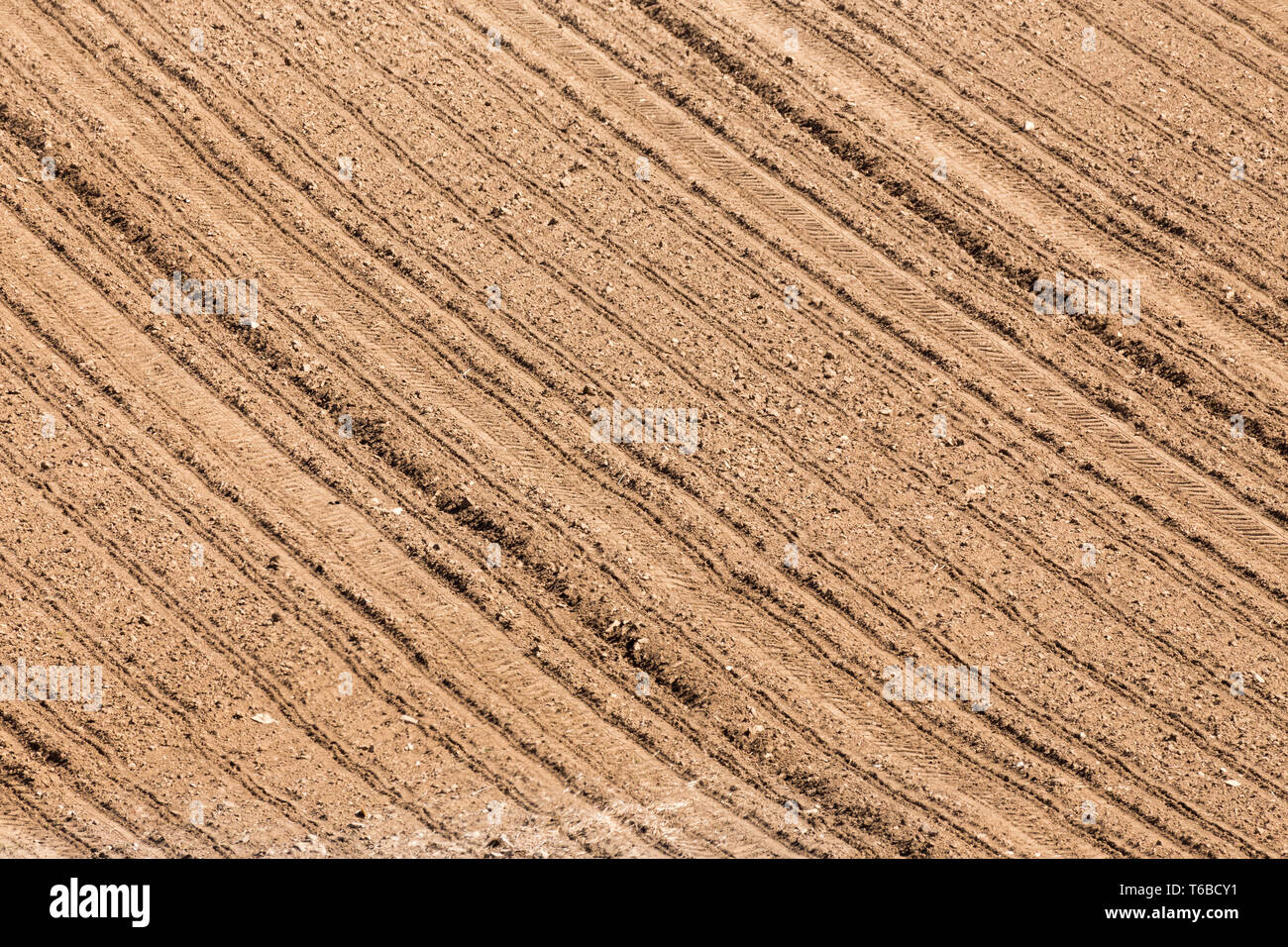 spring plowed field curves Stock Photo - Alamy