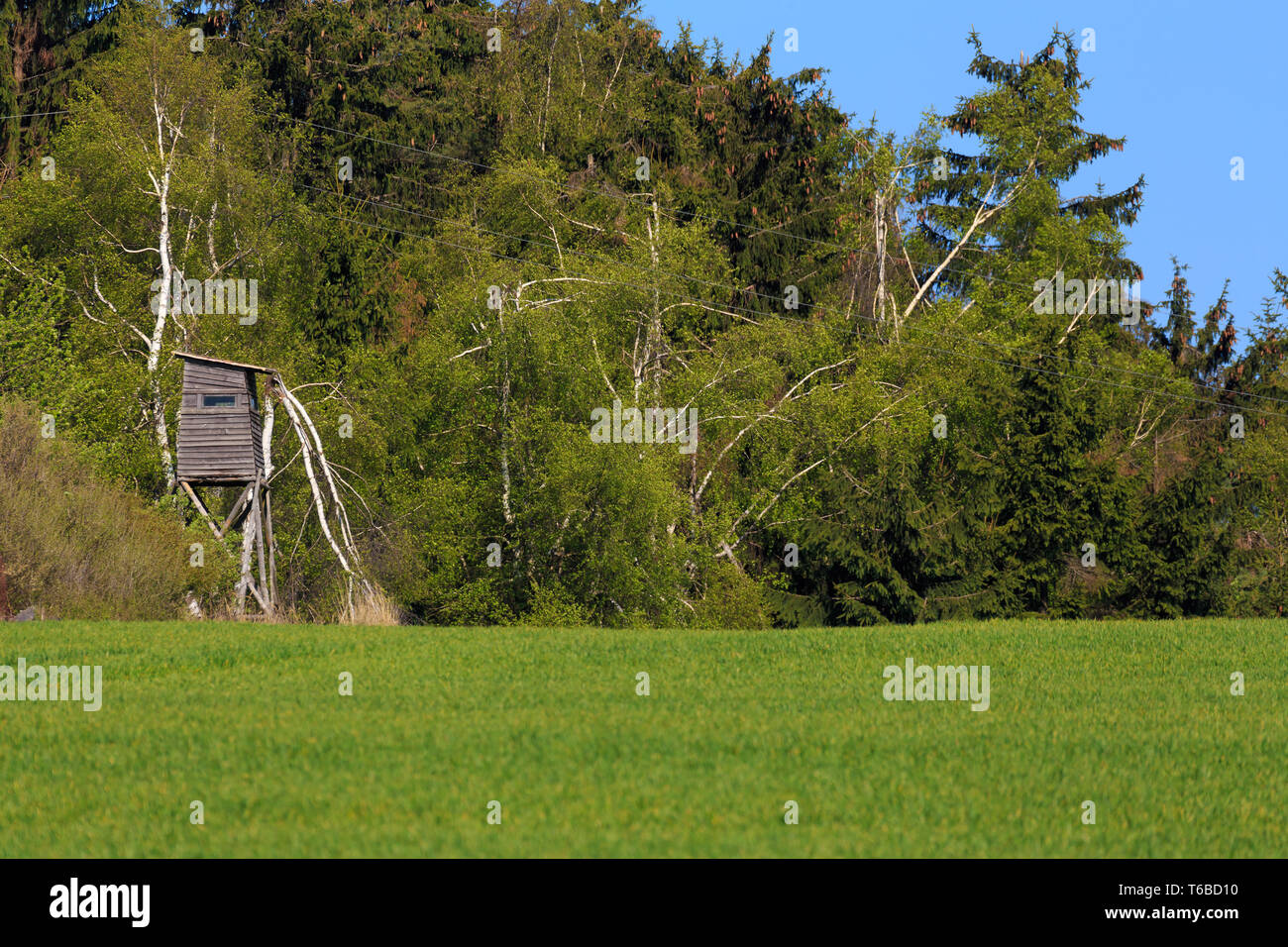 High Seat Deer Hunting Hunting High Resolution Stock Photography and ...
