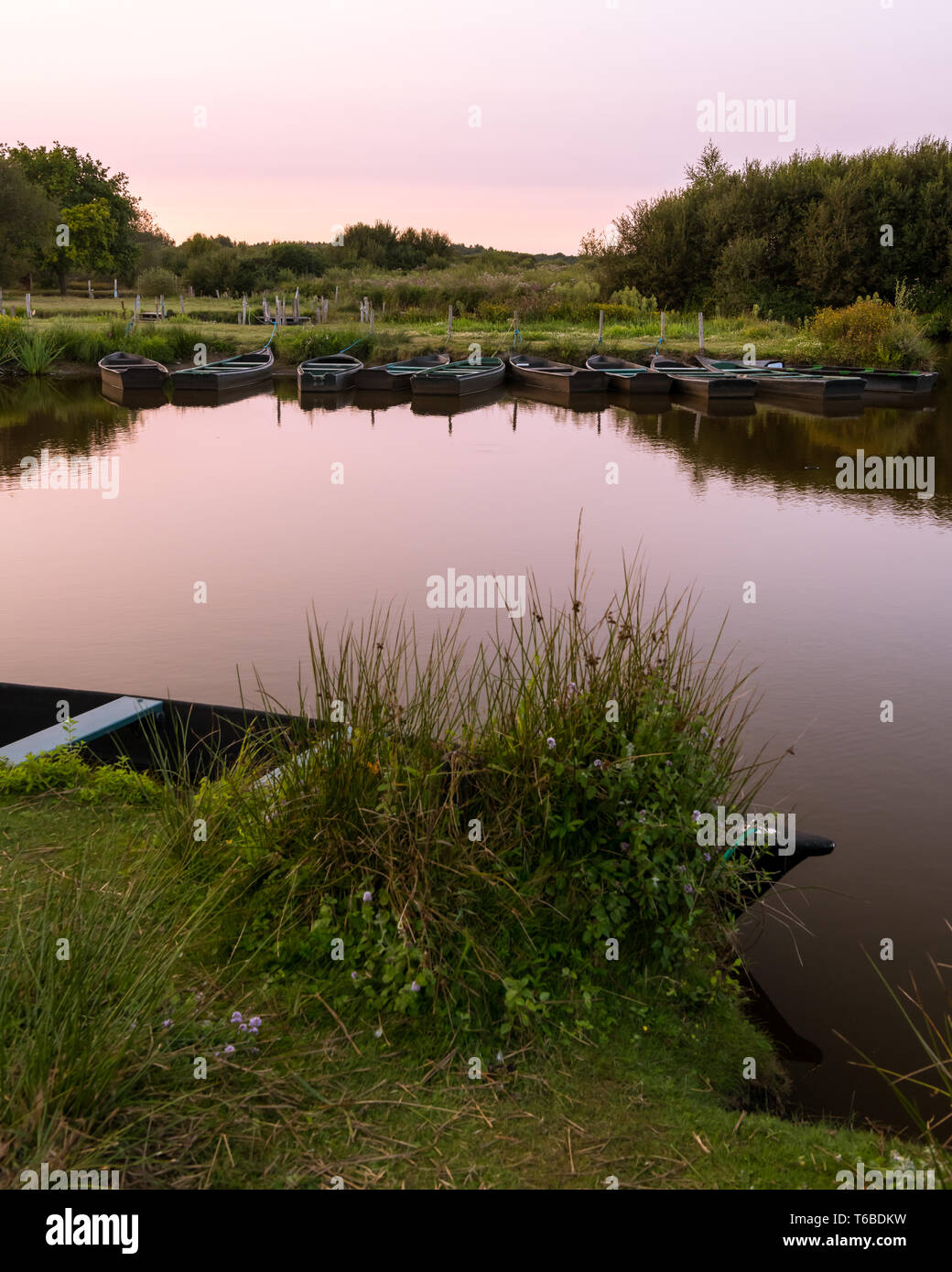 Breca Briere High Resolution Stock Photography and Images - Alamy