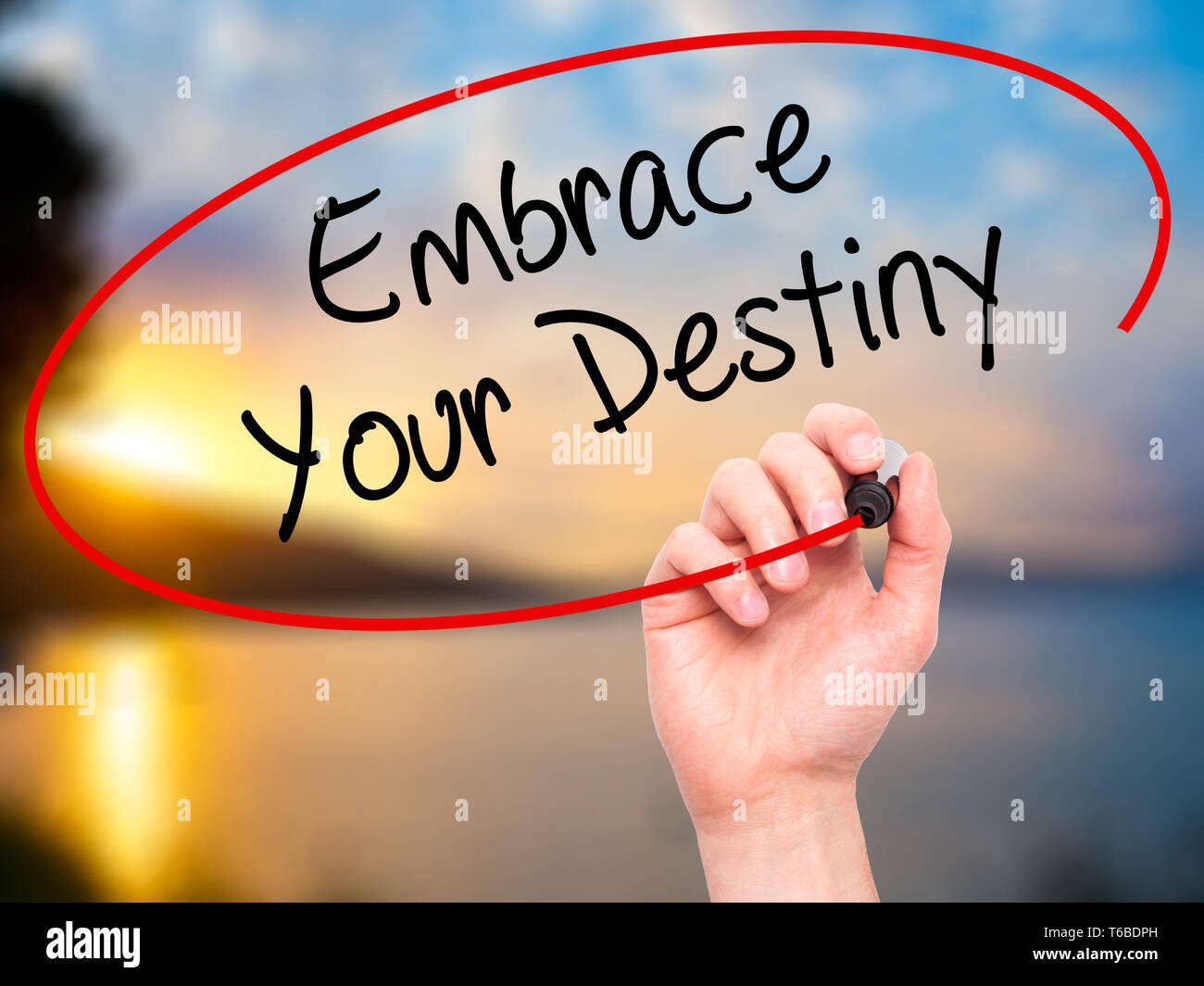 Man Hand writing Embrace Your Destiny with black marker on visual ...