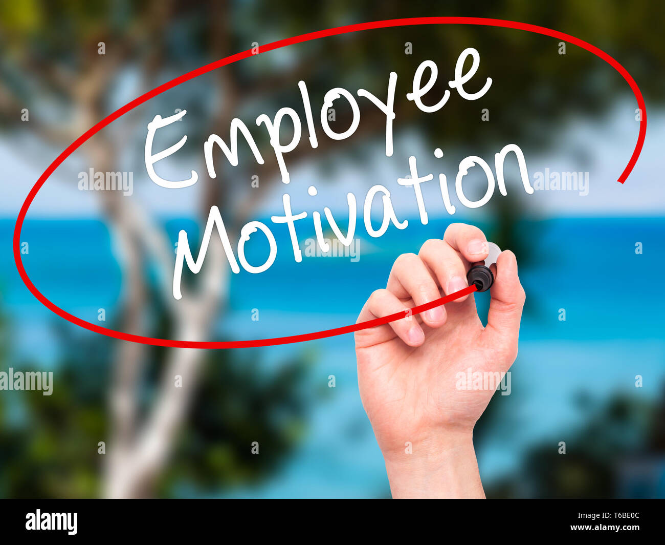 Man Hand writing Employee Motivation with black marker on visual screen ...