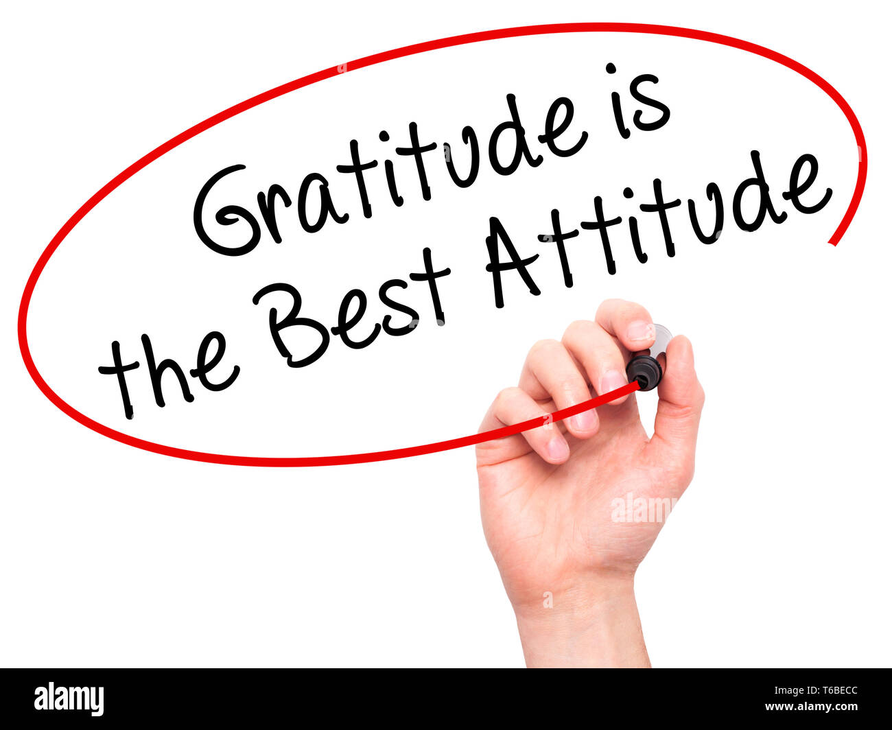 Man Hand writing Gratitude is the Best Attitude with black marker on ...